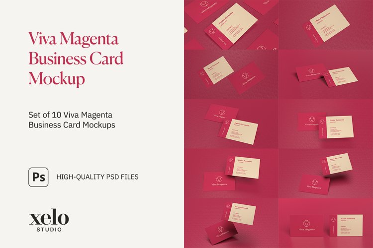 xelo studio | Font Bundles