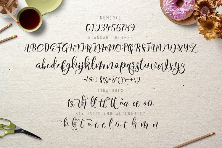 Flitte Script - Free Font of The Week | Font Bundles