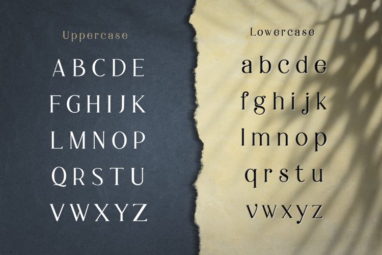 Worth It Font Bundle - Free Font Of The Week | Font Bundles