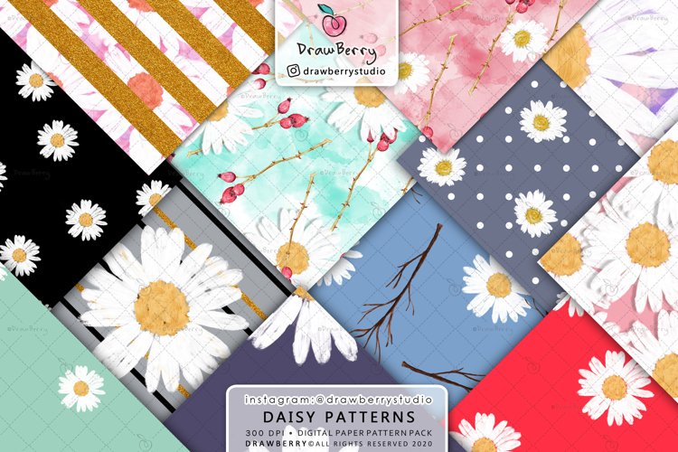 Daisy Spring Flowers - Floral Seamless Digital Pattern DP010