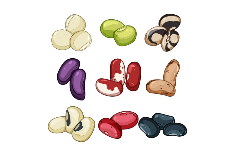 Various beans collection showing diverse legumes types