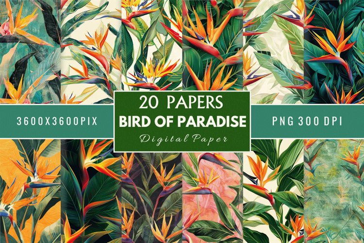 Bird Of Paradise Digital Paper Bundle