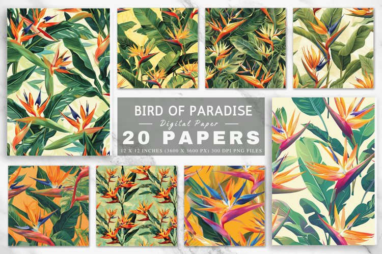Bird of Paradise Digital Paper Bundle
