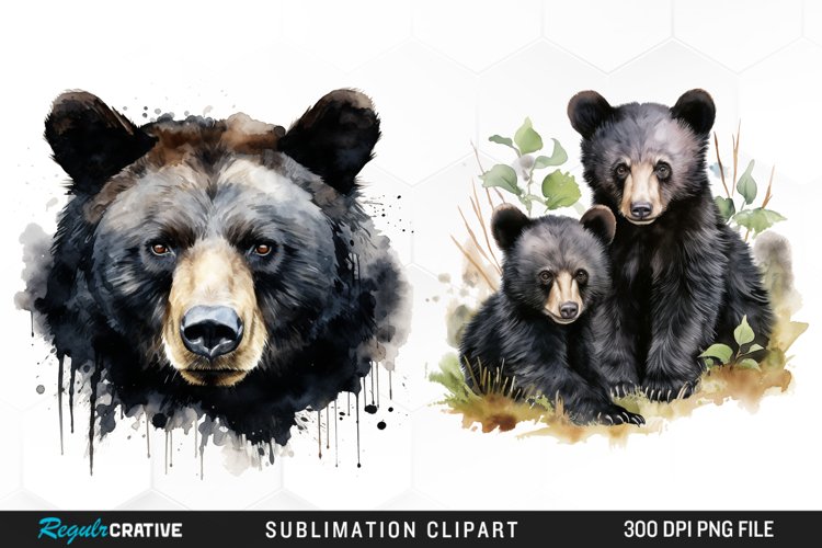 Watercolor Black Bear Illustration Clipart