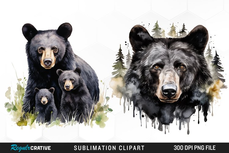 Watercolor Black Bear Illustration Clipart