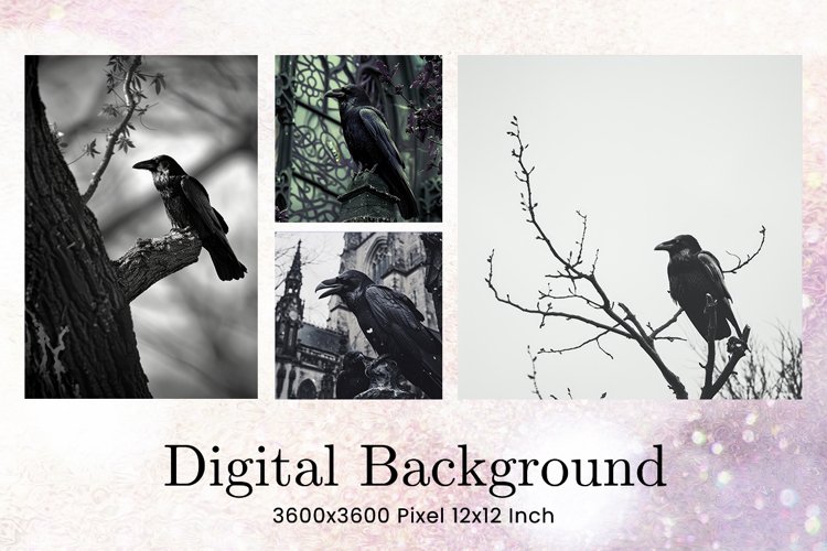 Black Raven Crow Halloween Background Wallpaper (4737794)