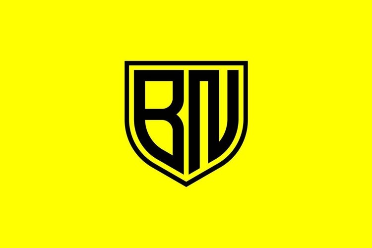 BN Logo design (2624932)
