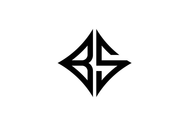 BS logo design (2625248)