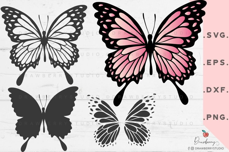 Layered Butterfly svg | Monarch butterfly svg png dxf SV140