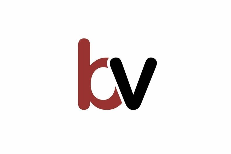 BV logo design vector template (3702155)