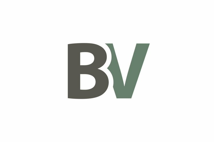 BV logo design vector template (3702158)
