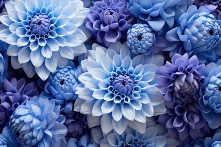 Delicate Blue dahlias. Generate Ai