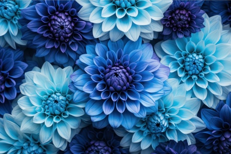 Exotic Blue dahlias. Generate Ai