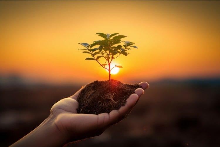 Nurturing Hand holding little tree. Generate Ai