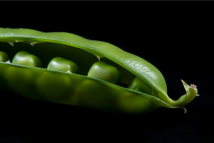 Green pea pod. Generate AI