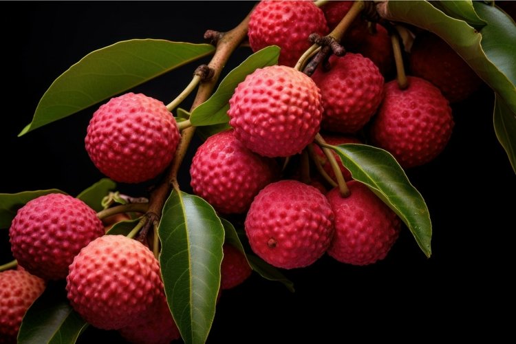 Lychees branch mockup. Generate Ai