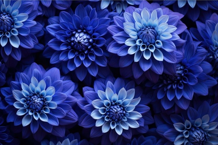 Striking Blue dahlias. Generate Ai