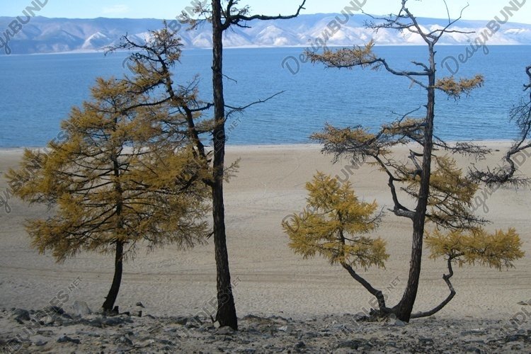 Fall and the North sea