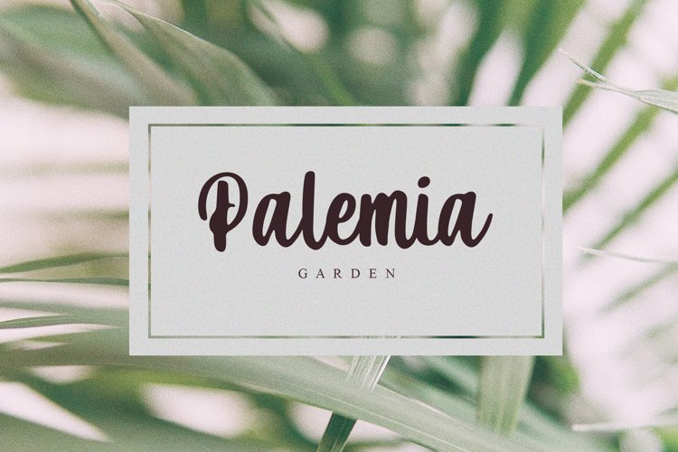 HANDWRITTEN SCRIPT FONT MINI BUNDLE - Free Font Of The Week | Font Bundles