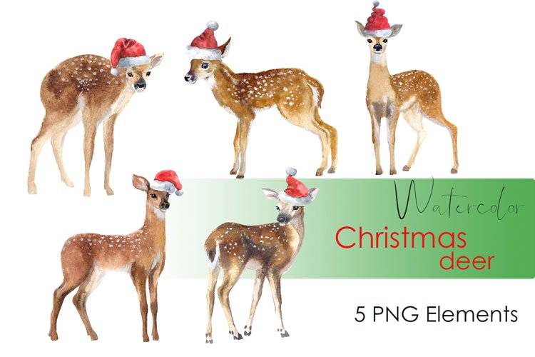 Watercolor christmas clipart. Woodland animal deer clipart (2221779 ...