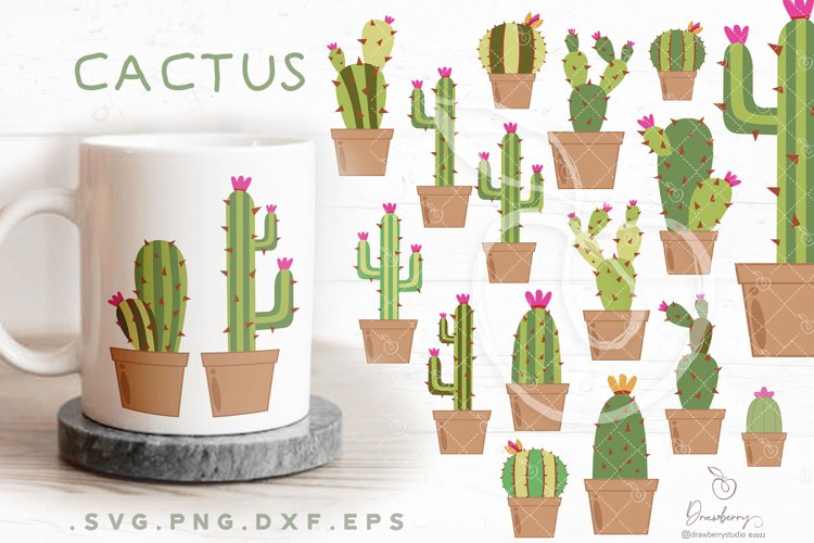 Cactus SVG Bundle /Cactus Cut File /Cactus pot clipart SV256