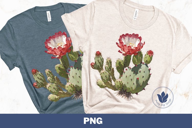 Cactus Watercolor PNG Sublimation