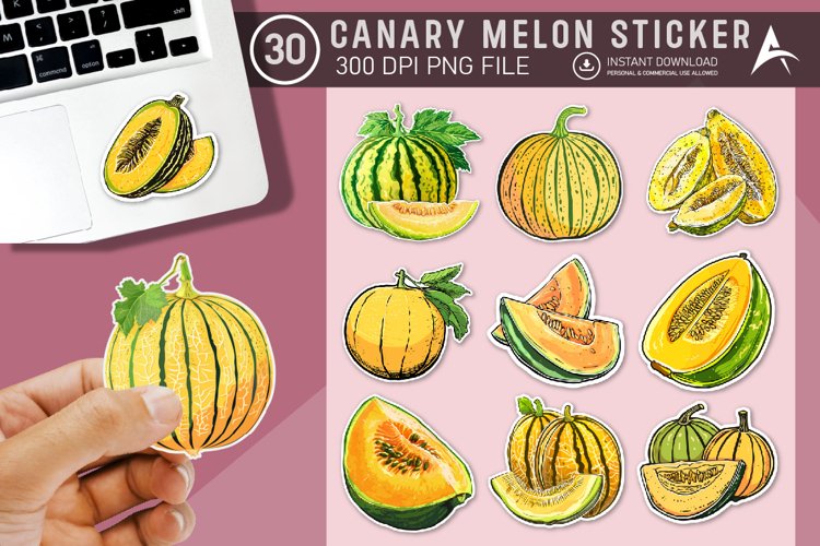Canary Melon Sticker Clipart Bundle