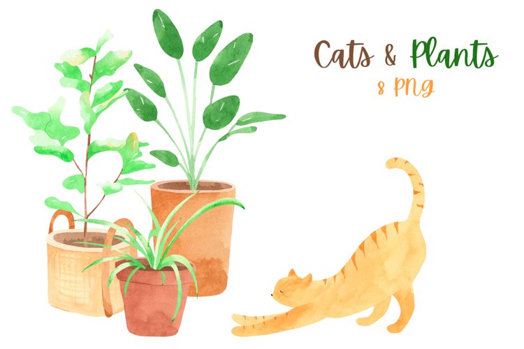 Watercolor Cats & Plants - Set of 8 PNG