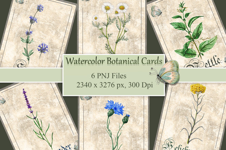 Herbal Botanical Cards