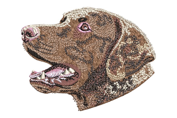 Chesapeake Bay Retriever Machine Embroidery Design