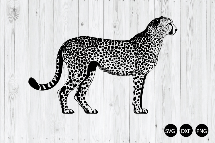 Cheetah SVG, Animal SVG, Leopard SVG