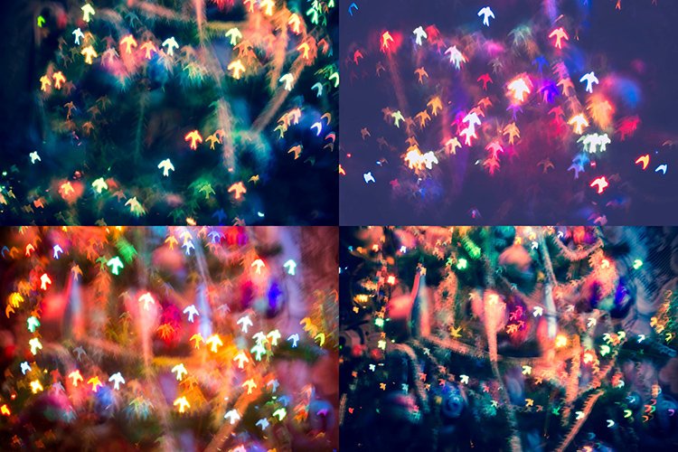 Christmas Lights Bird Bokeh