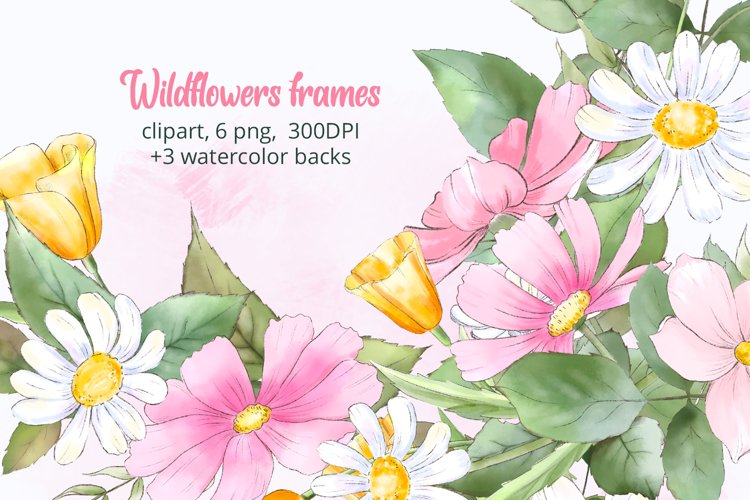 watercolor flowers clipart with chamomiles for sublimation