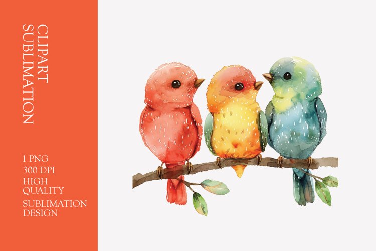 Cute baby birds watercolor clipart sublimation (4302078)