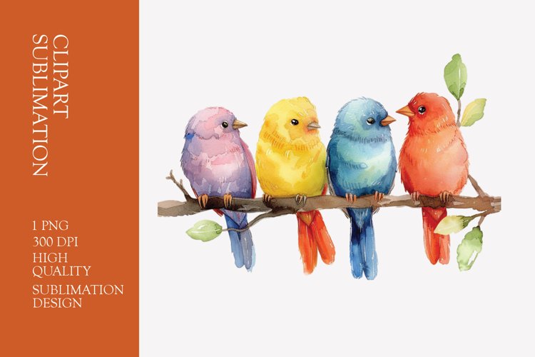Cute baby birds watercolor clipart sublimation (4302089)
