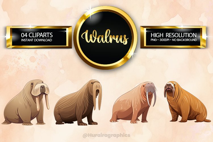 Walrus Clipart 04 variations