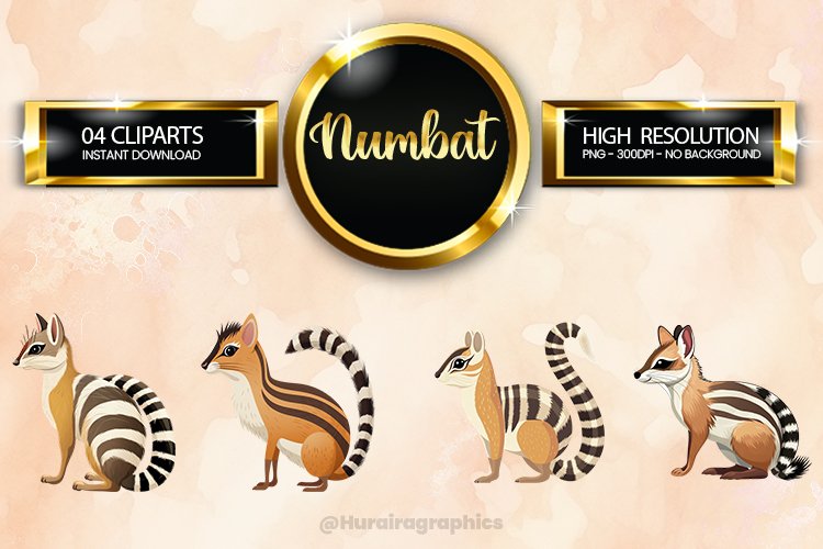 Numbat Clipart 04 variations
