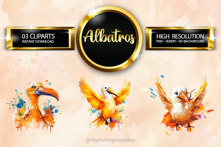 Albatross Clipart 03 variations (3677739)