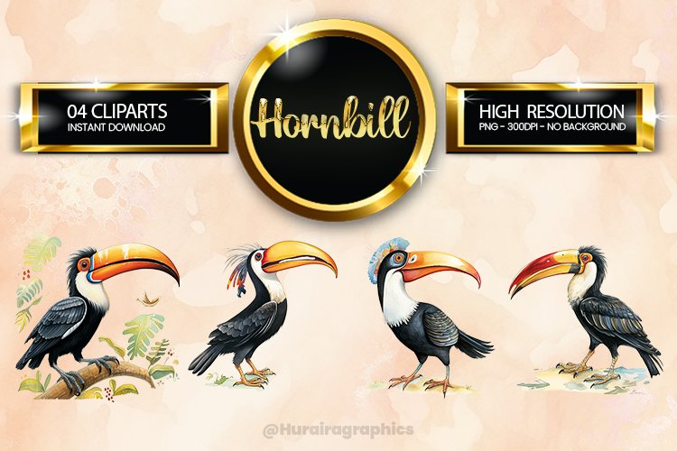 Hornbill Clipart 04 variations