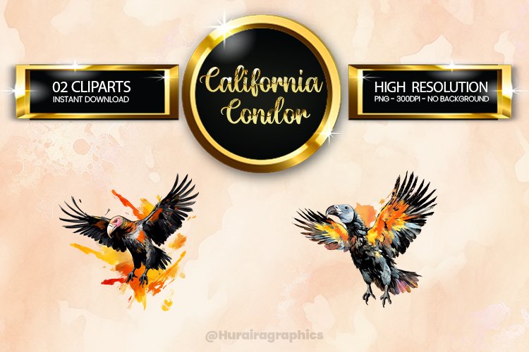 California Condor Clipart 02 variations