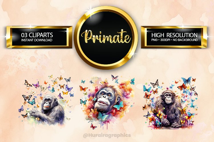 Primate Clipart 03 variations
