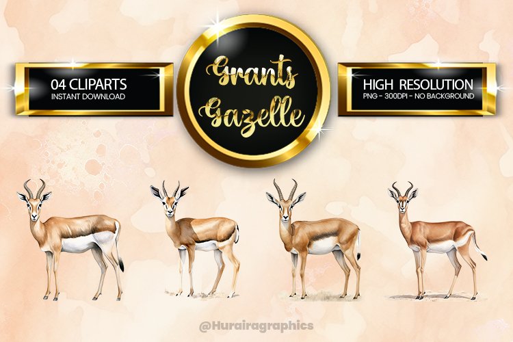 Grants Gazelle Clipart 04 variations