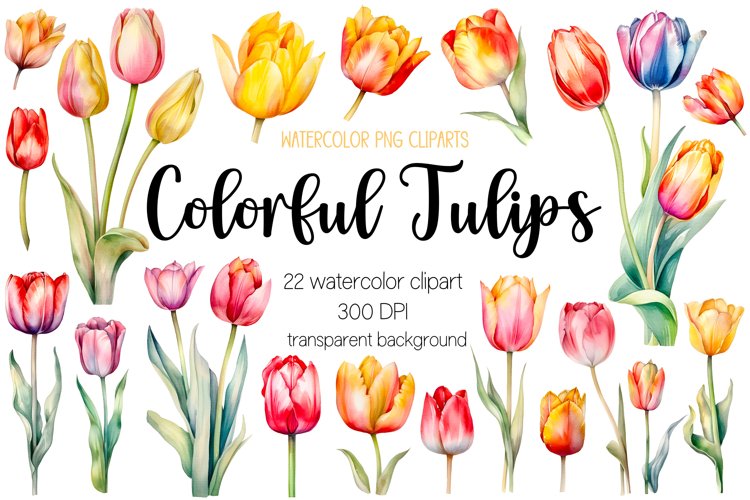 Colorful Watercolor Tulip Cliparts, Transparent PNG
