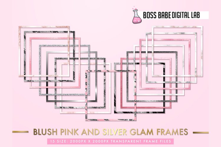 Blush Pink and Silver Glam Frames