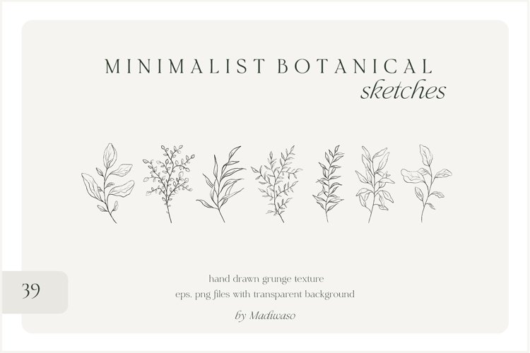 Minimalist floral botanical line art