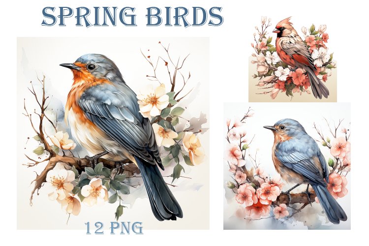 Spring birds watercolor clipart, watercolor bird, (3079004)