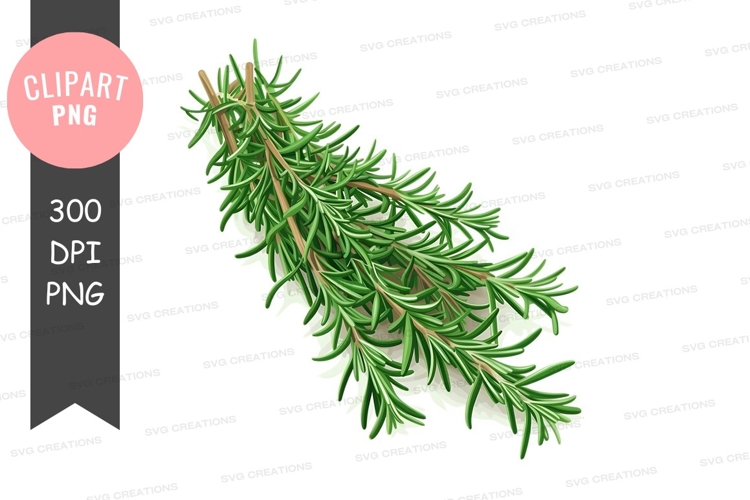 Fresh rosemary sprig clipart png (6474090)