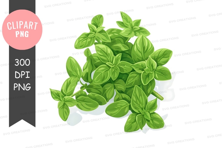 Fresh basil plant clipart png