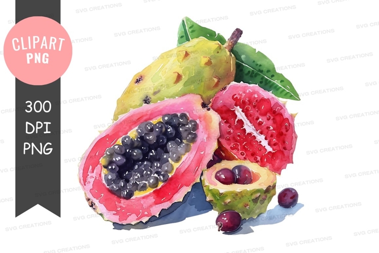 Exotic fruits clipart png (6471172)