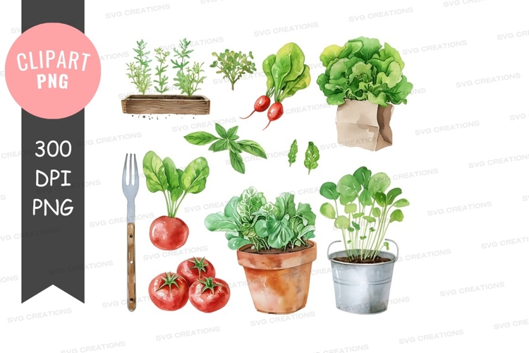 Fresh vegetables and herbs clipart png
